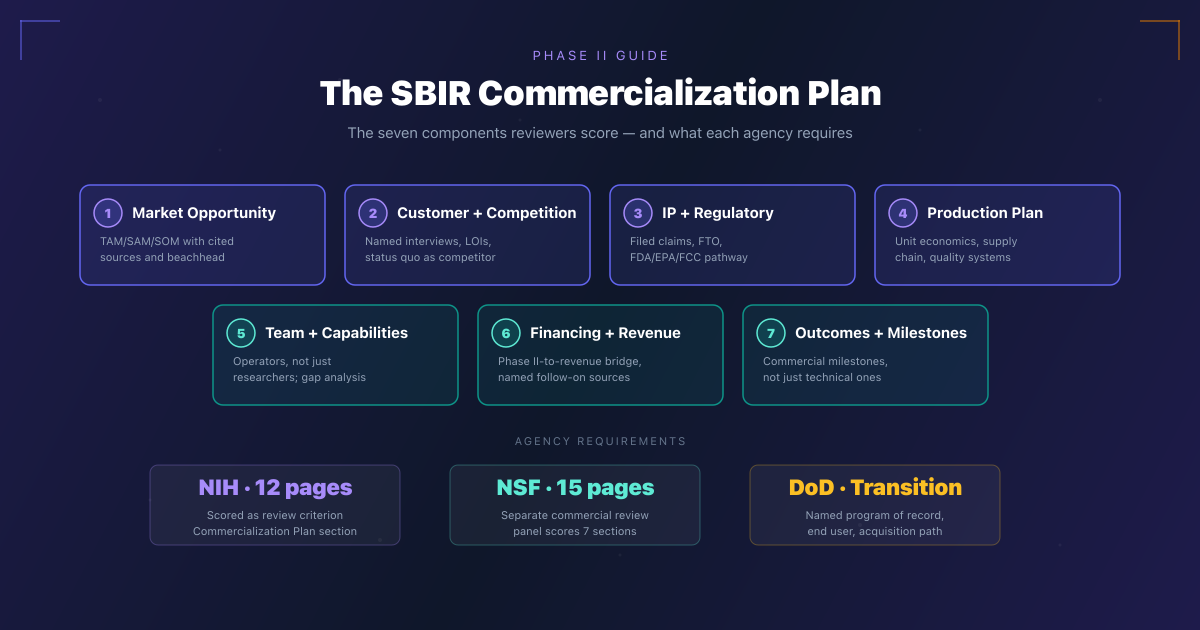 SBIR Commercialization Plan: Template + 5 Examples | Commercify